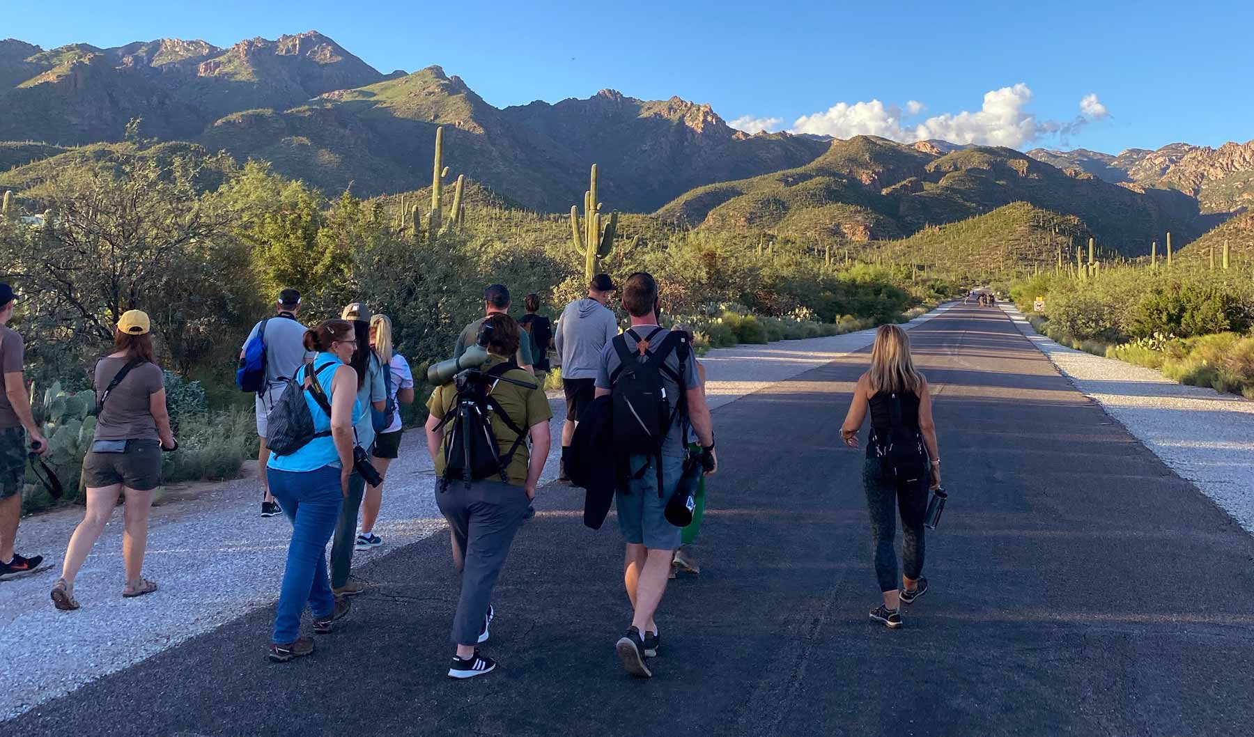 Partners - The Birding Co-op